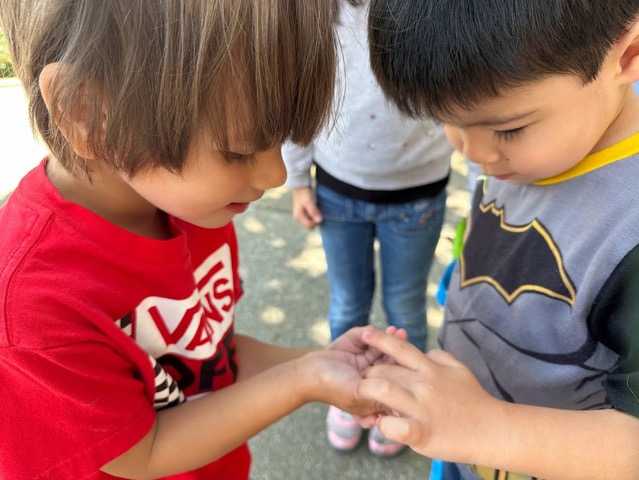 「冬のオープンハウス」を開催 - さくら学園 - | BaySpo